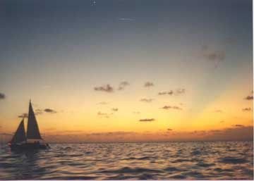 Balboa 20 sailboat for sale