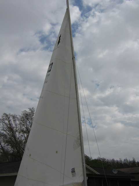 Trinka 12' Racing Dinghy, 1994, Tampa, Florida, sailboat for sale from ...