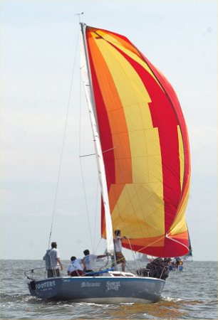 Capri 25 sailboat for sale
