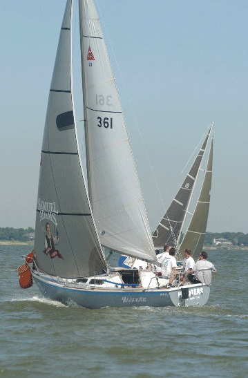 Capri 25 sailboat for sale